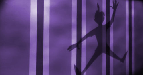 Peter Pan's Shadow is the Only Real Shadow in Peter Pan's Flight ...
