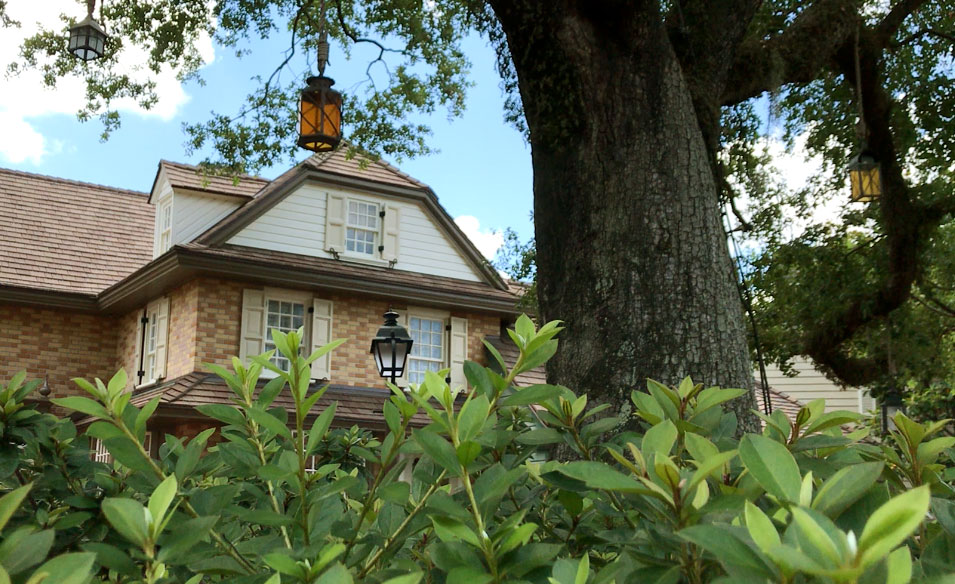 Liberty Tree Treasure Hunt Leads to Surprising Discovery - Parkeology
